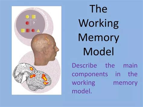 PPT The Working Memory Model PowerPoint Presentation Free Download ID