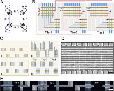 Architecture And Fabrication Of Fsm A Logic Diagram Of The Fsm With Download Scientific Architecture And Fabrication Of Fsm A Logic Diagram Of The Fsm With Download Scientific