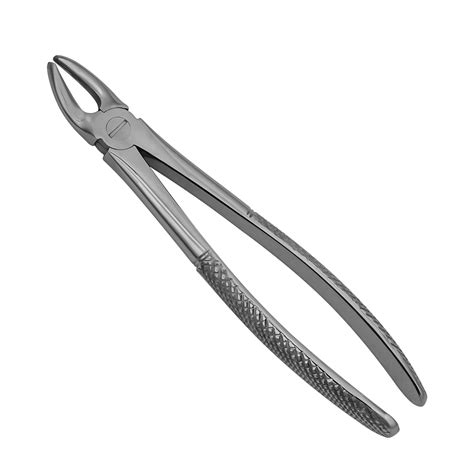 Md2 Universal Mead Extraction Forceps Prodentusa