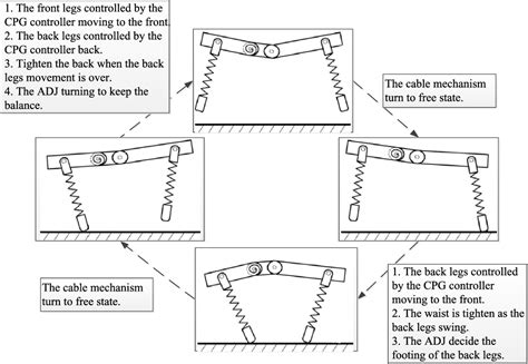 Effects Of Spinal Structure On Quadruped Bounding Gait Robotica