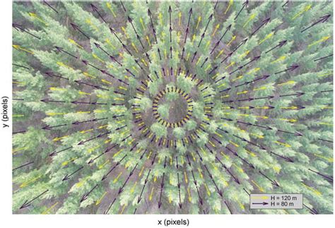 Effective Uav Photogrammetry For Forest Management New Insights On