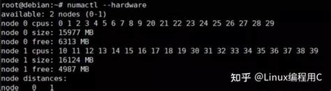 一文掌握cpu的smp与numa架构！ 知乎