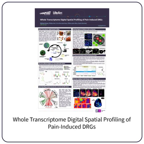 Transcriptome Digital Spatial Profiling