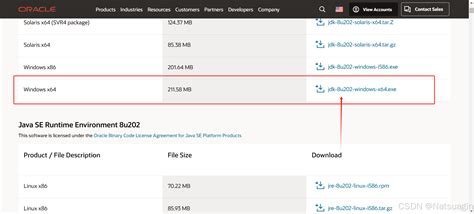 超全超详细！jdk 安装及环境配置（java Se 8 保姆级教程）jdk安装及配置教程 Csdn博客
