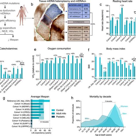 Longitudinal Mtdna Deletion Profiles In Oxphos Deficient Surf1 And
