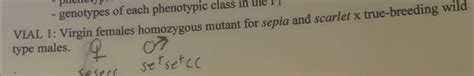 Solved Vial 1 Virgin Females Homozygous Mutant For Sepia