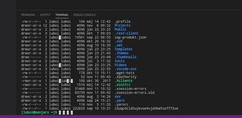 Strange Shapes Rendered In Vscode Mainly Integrated Terminal · Issue