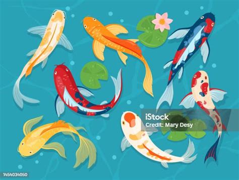 잉어 잉어 물고기 비단잉어에 대한 스톡 벡터 아트 및 기타 이미지 비단잉어 일러스트레이션 일본 Istock