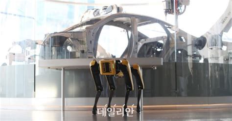 현대차 로봇 개 보스턴 다이내믹스 인수