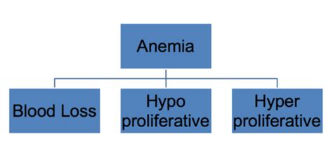 Classification Of Anemia II Flashcards Quizlet