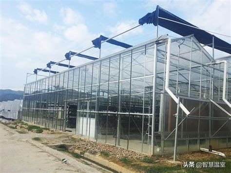 智能溫室建設的施工順序及細節 每日頭條