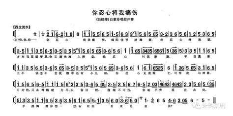 丁晓君歌曲简谱 歌桃花赋曲 春天的畅想简 大山谷图库