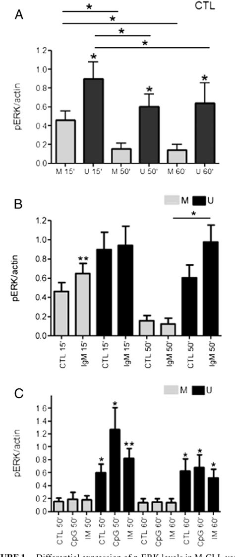 Figure 1 From Ig Genes Leukemia With Mutated Versus Unmutated Stimulation In Chronic Lymphocytic
