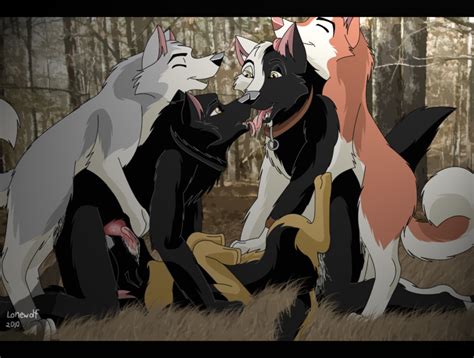 Rule 34 Anthro Canine Dog Orgy Female Feral Furry Gay German Shepherd