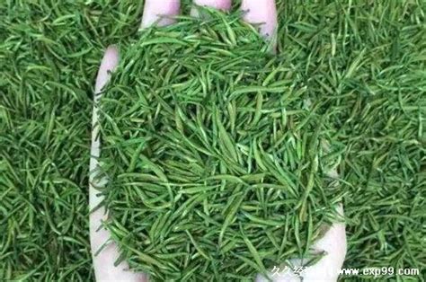 毛尖属于什么茶大多数是绿茶一部分是黄茶 图片 久久经验网