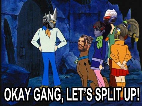 Taking Into Account That The Typical Scooby Doo Split Is Fredreinhardt