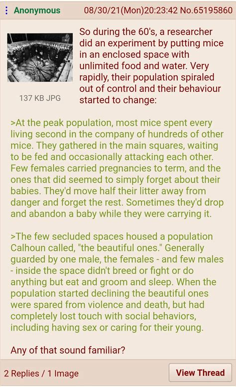 Anon Talks About Mice Scrolller