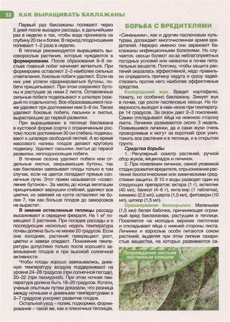 Сад Огород Цветник №6 январь 2021 читать журнал онлайн бесплатно