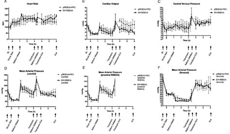 Hemodynamic Data Throughout The Experiment Intraoperative Measurements