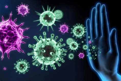 Hpv 바이러스와 암 예방 그리고 면역력 증강에 탁월한 Ahcc 100 Age Health