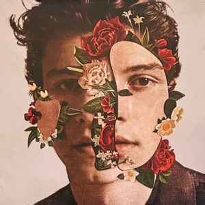 Shawn Mendes Wonder Vinyl Lp Album 2020 R16319955 Discogs