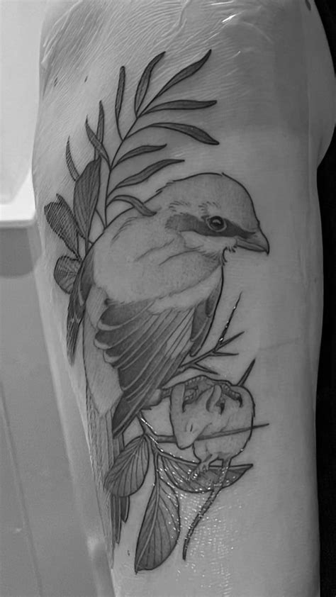A Raven With Bramble And A Shrike With A Mouse Rtattoodesigns