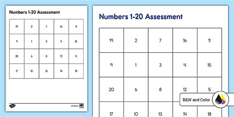 Number Recognition Assessment Activity Sheet Twinkl Usa