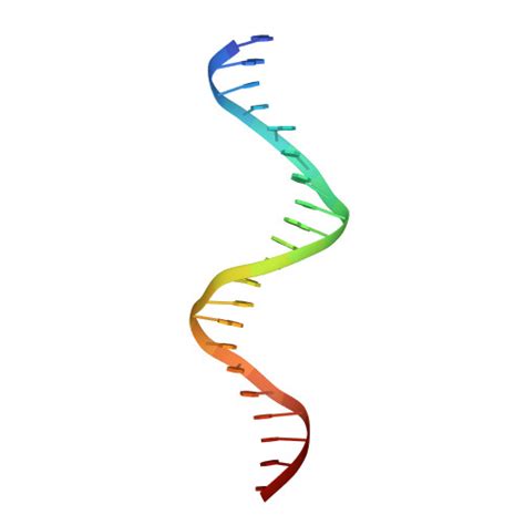 Rcsb Pdb 3qrf Structure Of A Domain Swapped Foxp3 Dimer