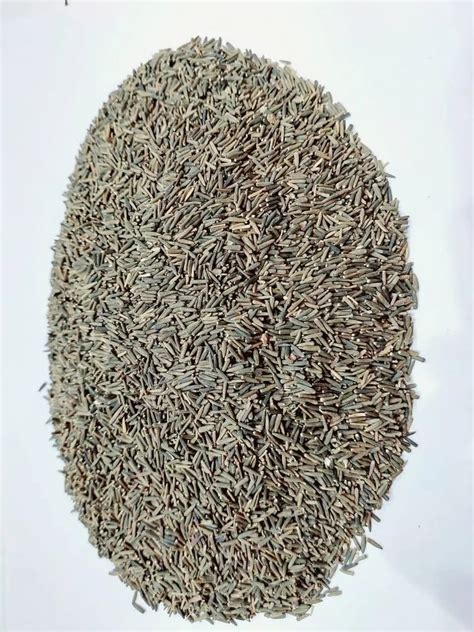 Elwendia Persica Kala Jira Kala Jeera Black Cumin At ₹ 190 Kg Nigella Seeds In Akola