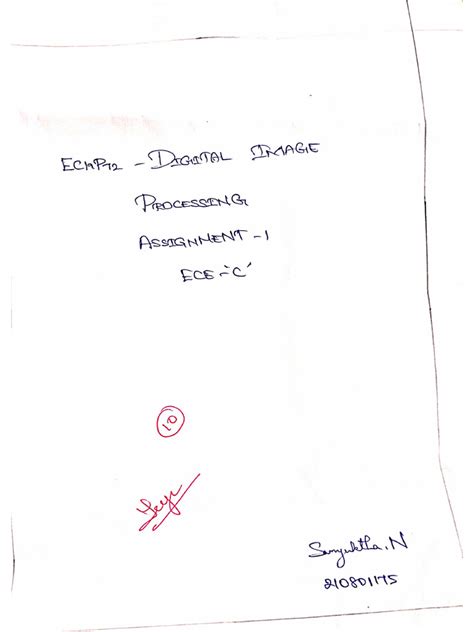 175 dip assignment 1 pdf