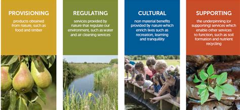 Everything Is Connected