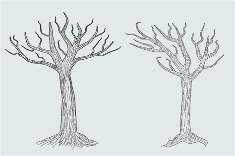 Hand Drawn Winter Bare Tree Sketch Vector Bare Trees Leafless Dead Old Dry No Leaves Pencil