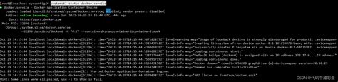 Docker 启动报：job For Rvice Failed Because The Control Process