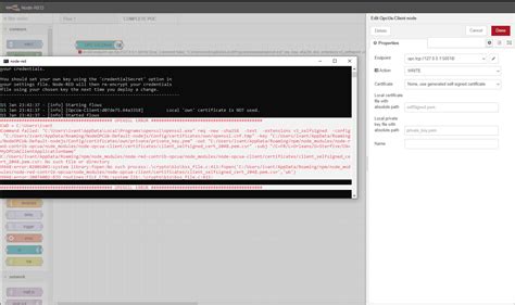 Openssl Error Messages Rnodered