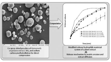 Development Of A Modified Release Hydrophilic Matrix System Of A Plant Extract Based On Co Spray