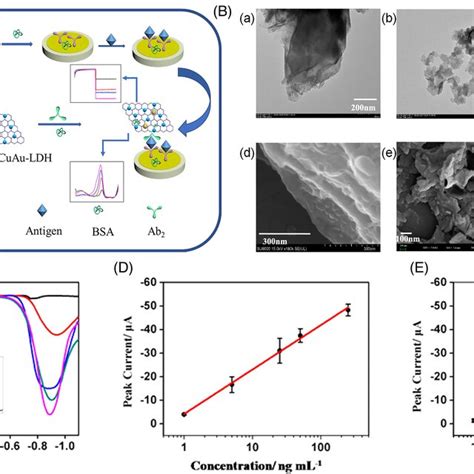 Of The Applications Of 2d Materials Based Electrochemical Biosensors In Download Scientific