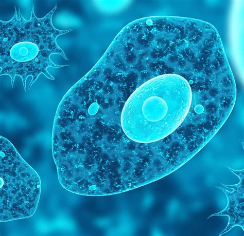 Single Cell Analysis Erreka Medical