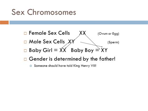 Why Do We Learn About Contraceptives Ppt Download