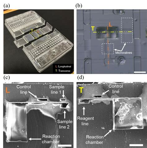 Structural Layout And Component Netlist Of The Reference Commercial Download Scientific Diagram