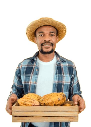 Cocoa Butter Suppliers From Colombia