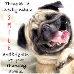 75 Really Funny Thursday Memes To Make Brighten Your Day Tiny Positive