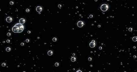 Animation Bubbles Moving Floating Black Background — Stock Video