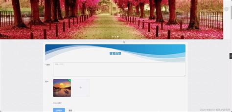 Python计算机毕设【附源码】问诊平台管理系统（djangomysql论文） Csdn博客