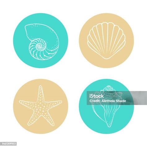 조개껍데기와 불가사리 스티커 세트 손으로 그린 수생 해양 생물 그림 갑각류에 대한 스톡 벡터 아트 및 기타 이미지 갑각류
