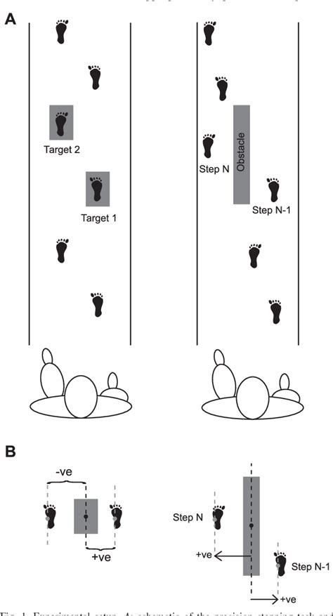 Figure 1 From Prism Adaptation And Generalization During Visually Guided Locomotor Tasks