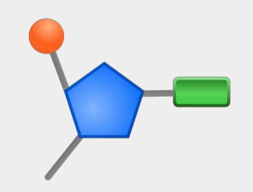 Unit 6 DNA Diagram Quizlet