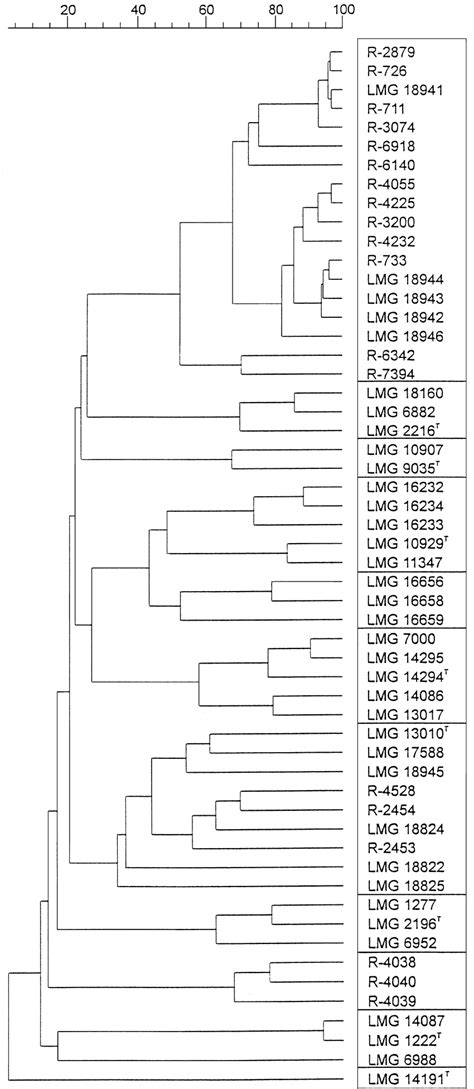 Dendrogram Derived From The Unweighted Pair Group Average Linkage Of