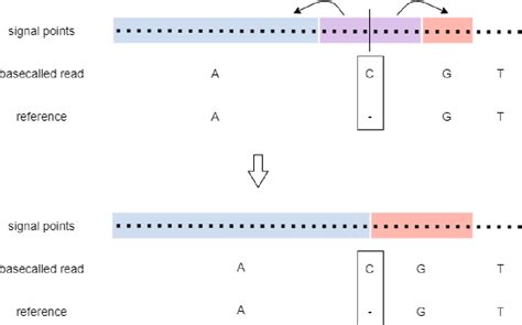 Figure 2 1 From Detection Of Modiﬁed Nucleotides Using Nanopore Sequencing And Deep Learning