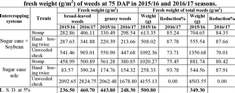 Interaction Effect Between Intercropping And Weed Control Treatments On