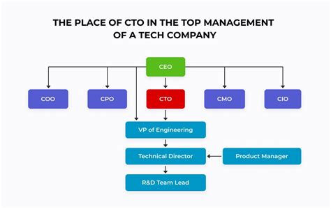 The Role Of A Chief Technology Officer Cto In The Software